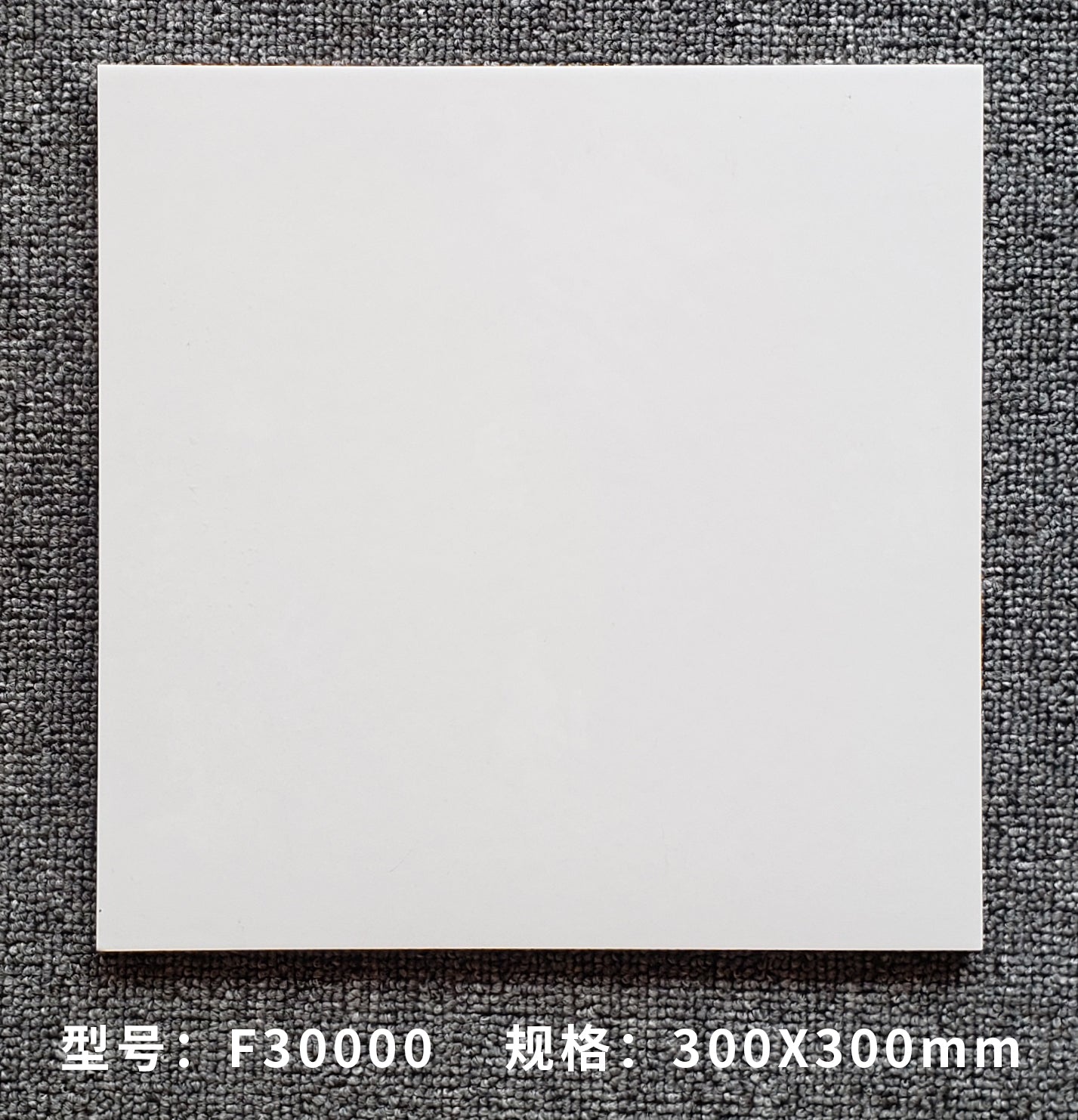 300x300纯色系列 – HK PWHS INTERIOR CO LTD